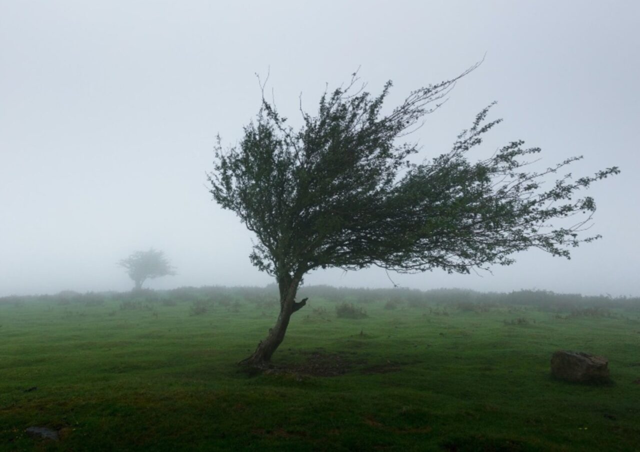 Vent et tempêtes - Solverif